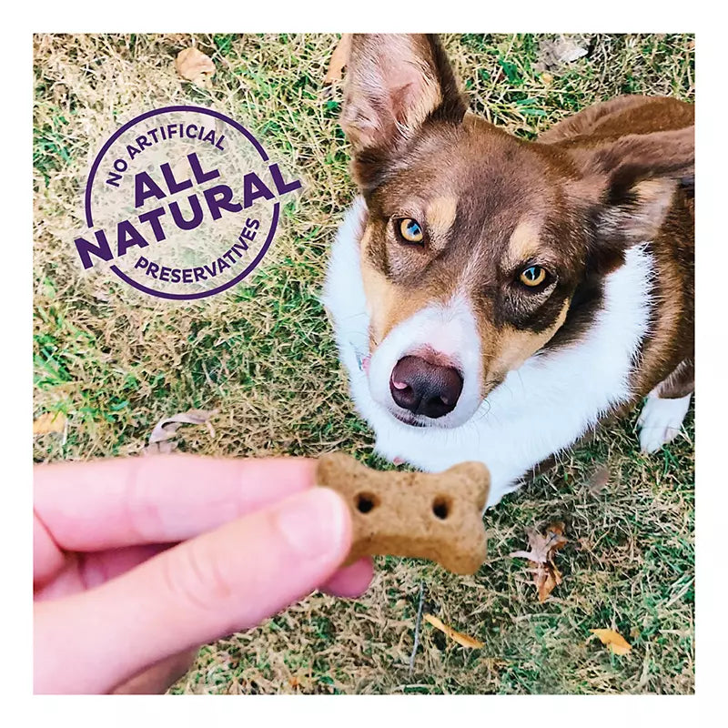 Wellness Old Mother Hubbard Classic P'Nuttier Natural Mini Oven-Baked ...